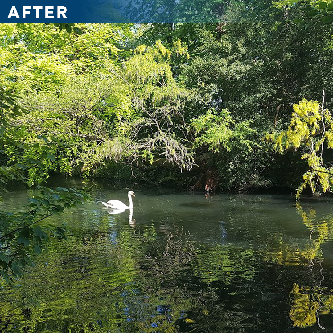 Ecosystem Restoration in Ireland - AquaNatural Solutions