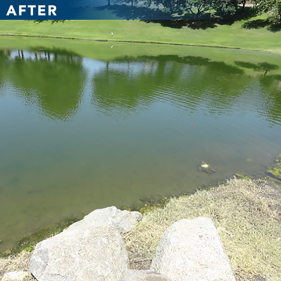 Golf Course Ponds - AquaNatural Solutions