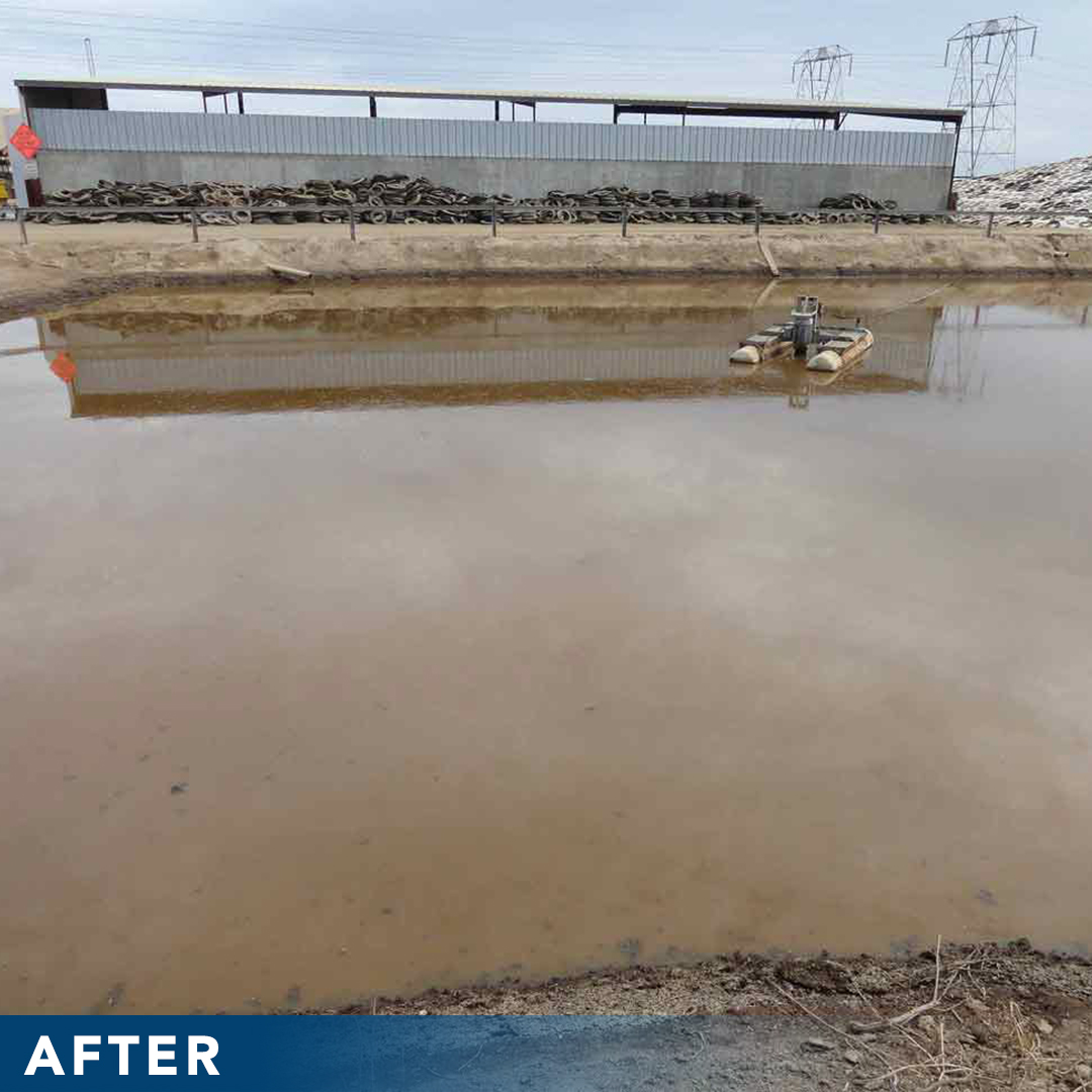 Dairy Manure Management - AquaNatural Solutions